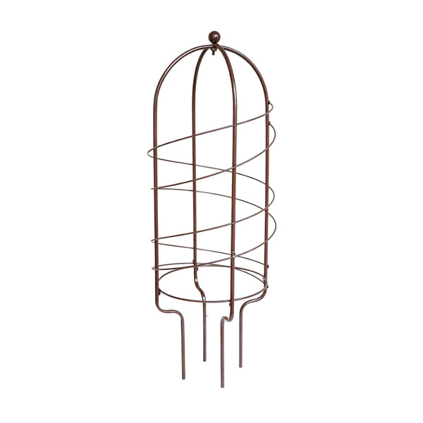 Lark Manor Outdoor Pot Plant Support Bronze H64cm D26cm | Wayfair.co.uk